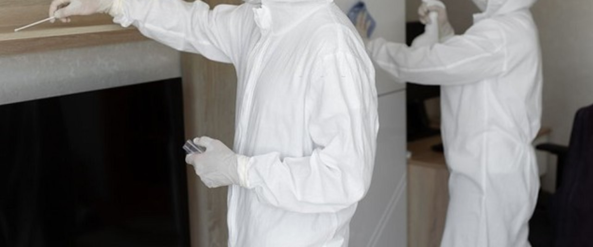 Addressing Mold Issues As They Arise: Mold Remediation In Philadelphia ...